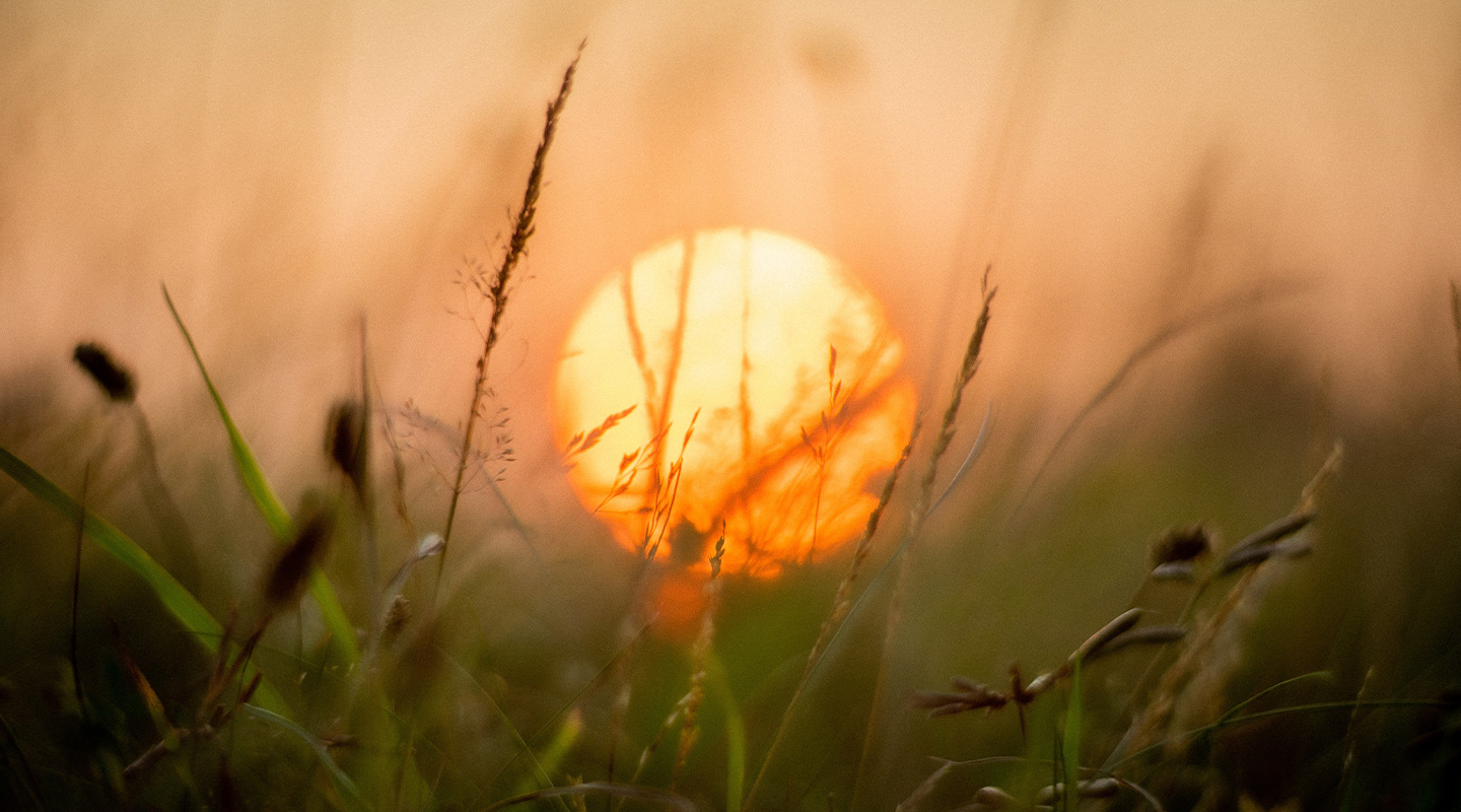 Slnko je pre vznik čistej elektriny omnoho významnejšie ako ste tušili ...